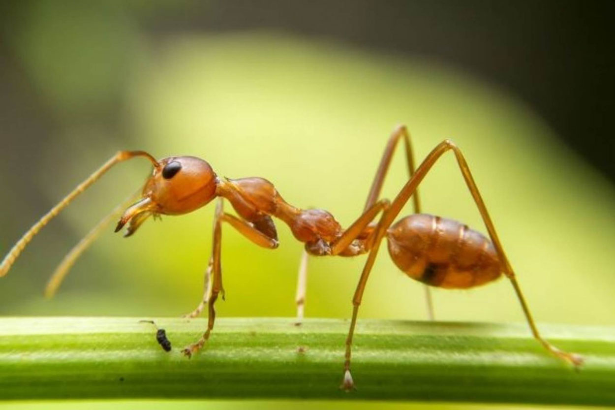 10 datos curiosos que te volarán la cabeza | VoxPopuly | Cultura